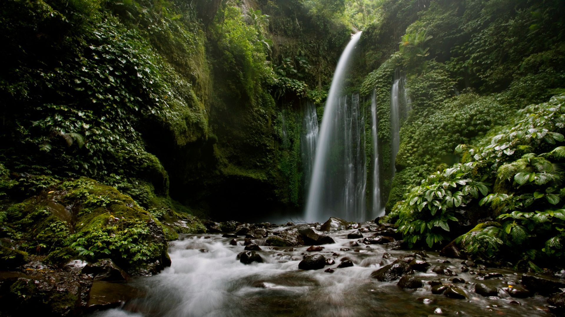 Discover Senaru, A Cultural Gem in North Lombok